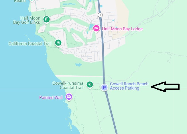 Cowell-Purisima Trail Hike :: mybcnc